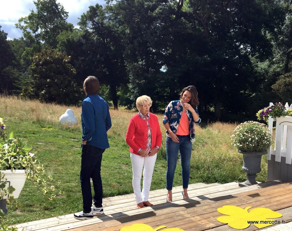 La Starlette Cake Le Meilleur Pâtissier Célébrités épisode 2 Les ...