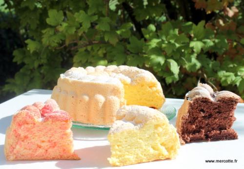 Biscuit à la cuillère, le secret de la réussite et toujours un peu de ...